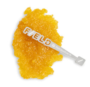 Live Resin 101 | The Ultimate Guide To Live Resin | FIELD